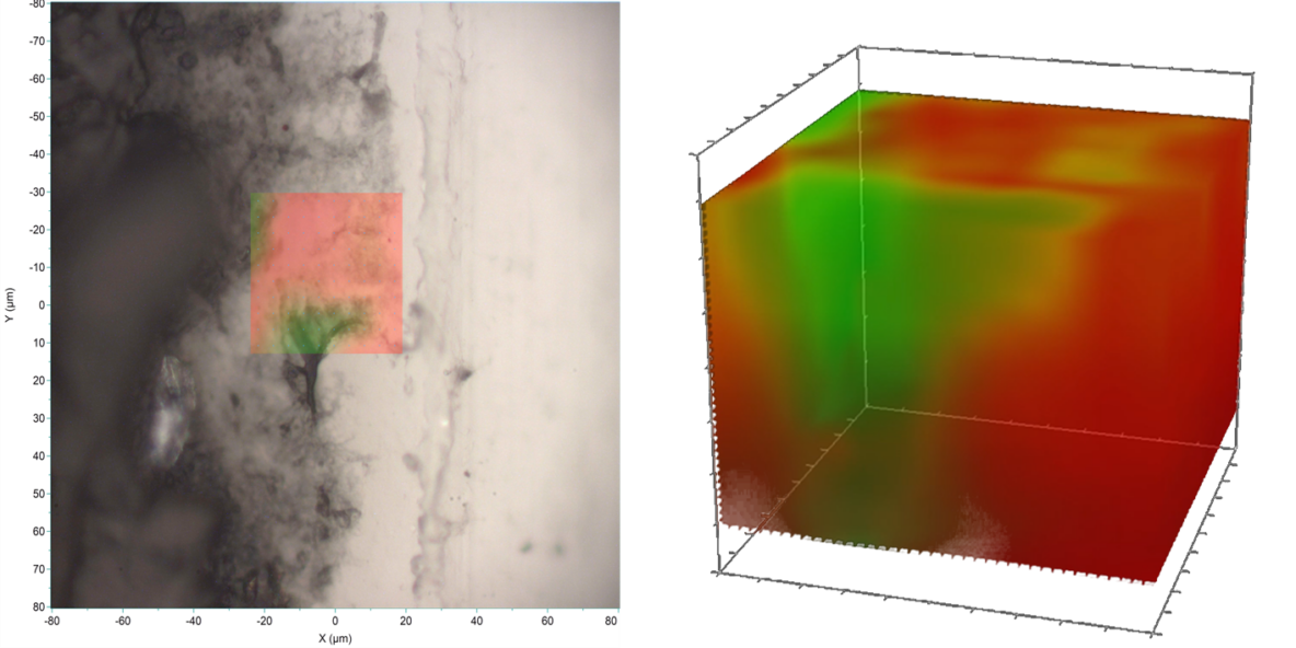 Atomic Force Microscope (AFM) combined to Raman Spectroscopy